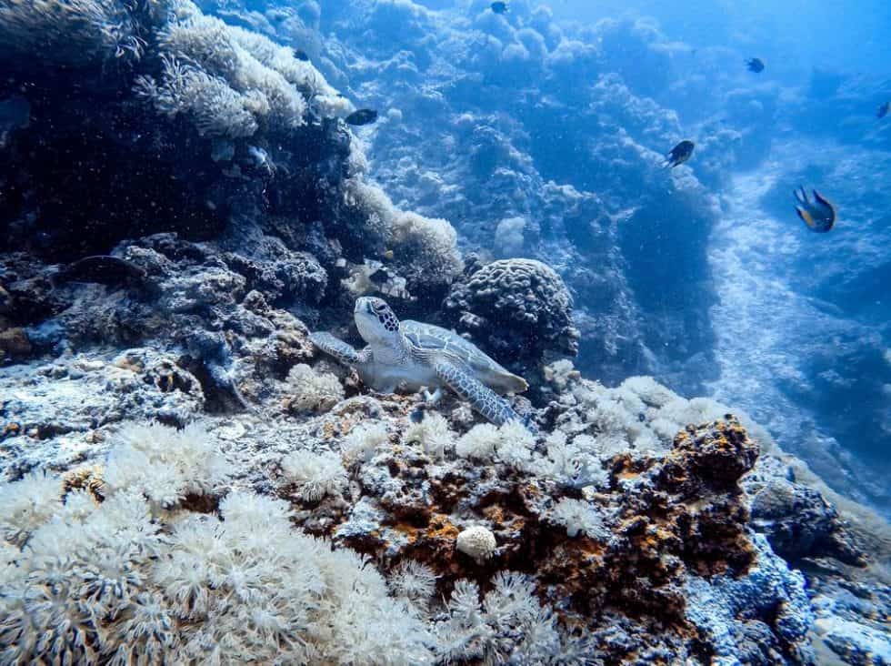 Mejores islas de Filipinas que visitar - Viajar por Filipinas