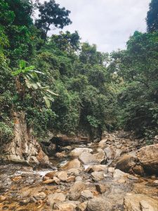 Qué hacer en Sibuyan, la "Galápagos de Asia" - Viajar por Filipinas