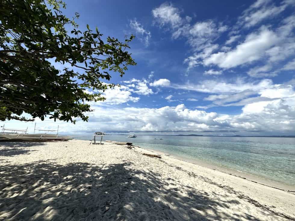 Qué hacer en Pamilacan (Bohol) - Guía 2026 - Viajar por Filipinas